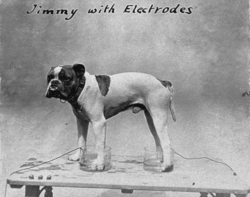 The Interesting History of EKGs